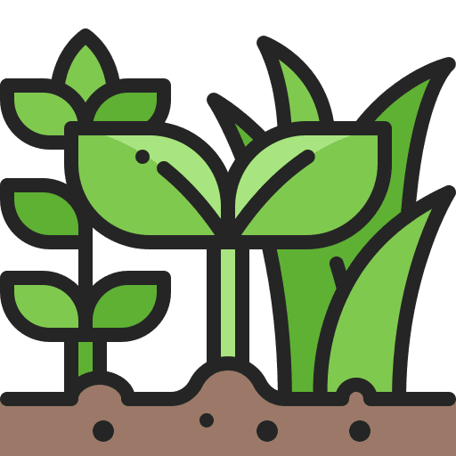 Sarasota Springs Lawn Care Services | Weed Control, Aeration & Maintenance