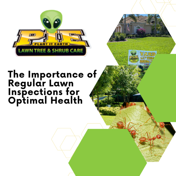 The Importance of Regular Lawn Inspections for Optimal Health