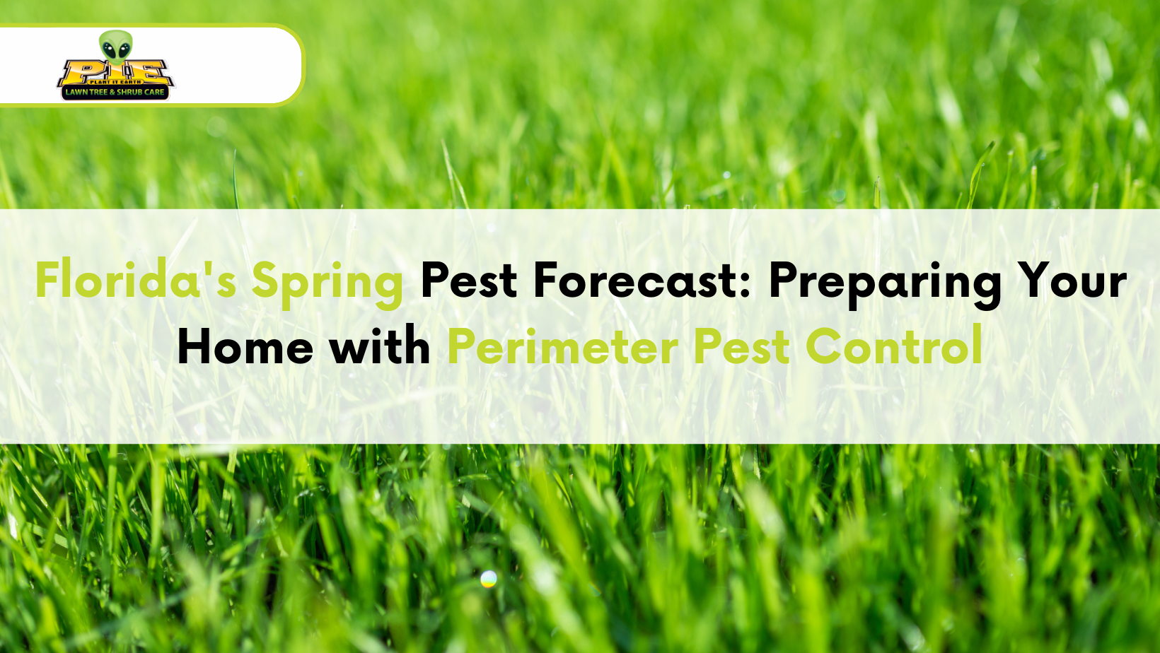 Guard Your Home with Perimeter Pest Control - Plant It Earth