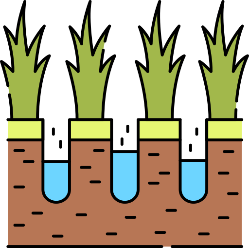 Bayshore Gardens Lawn Care Services | Weed Control, Aeration & Maintenance